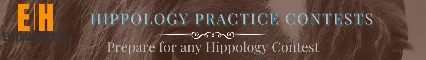 Hippology Practice | Campus